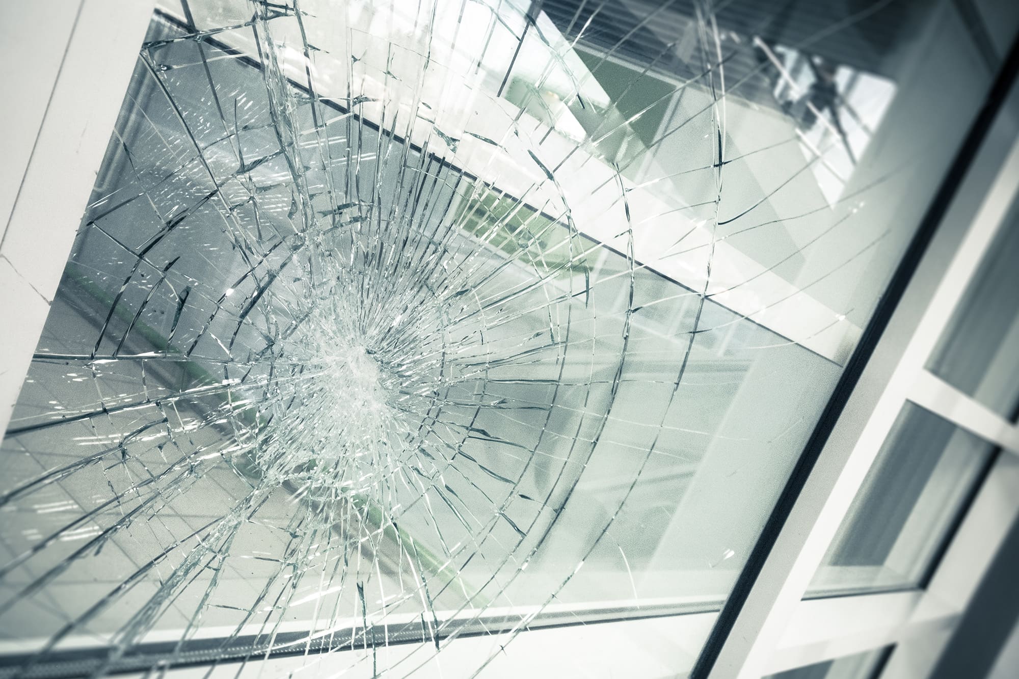 Window Repair Hamilton | Front Door Repairs - Burglary Damage